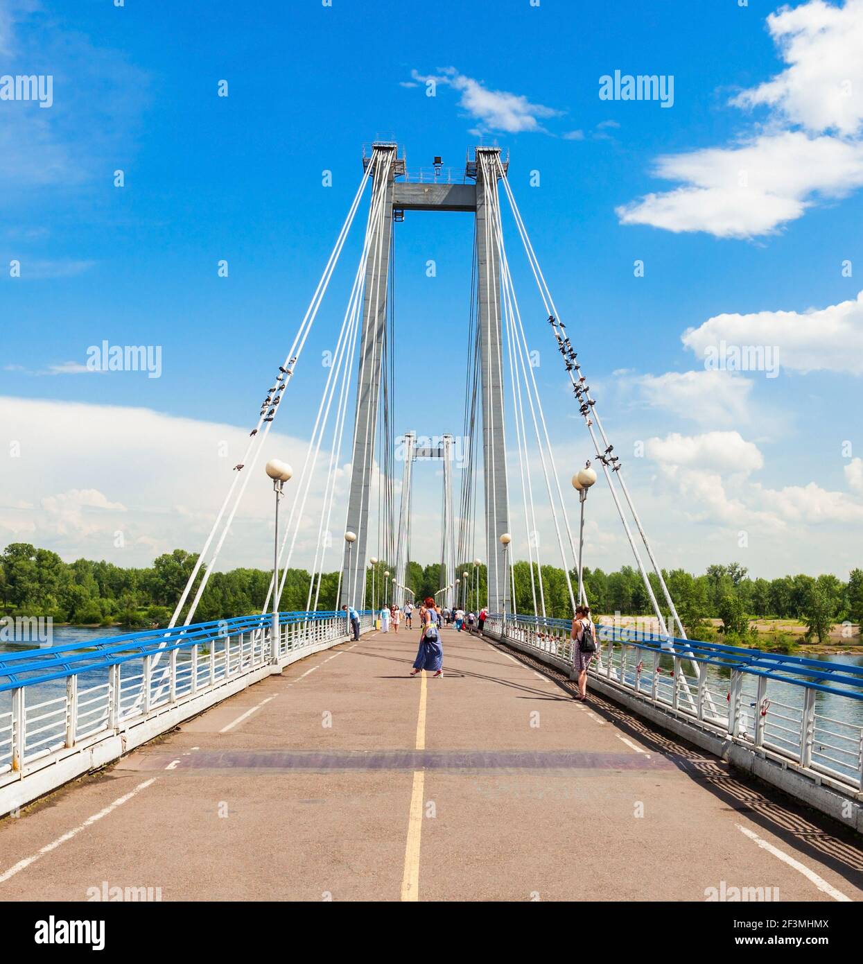 Vynogradovskiy Bridge is a cable-stayed bridge over the canal of the ...