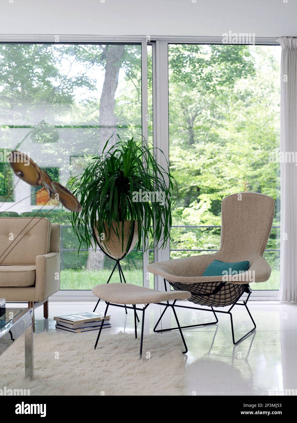 Armchair and footstool with houseplant at uncurtained window of ...
