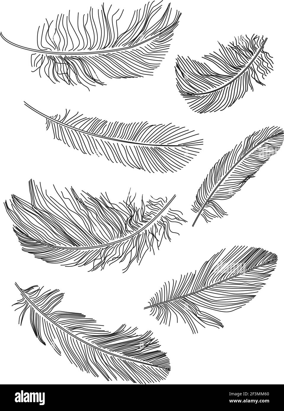 Vector illustration of feathers Stock Vector Image & Art - Alamy