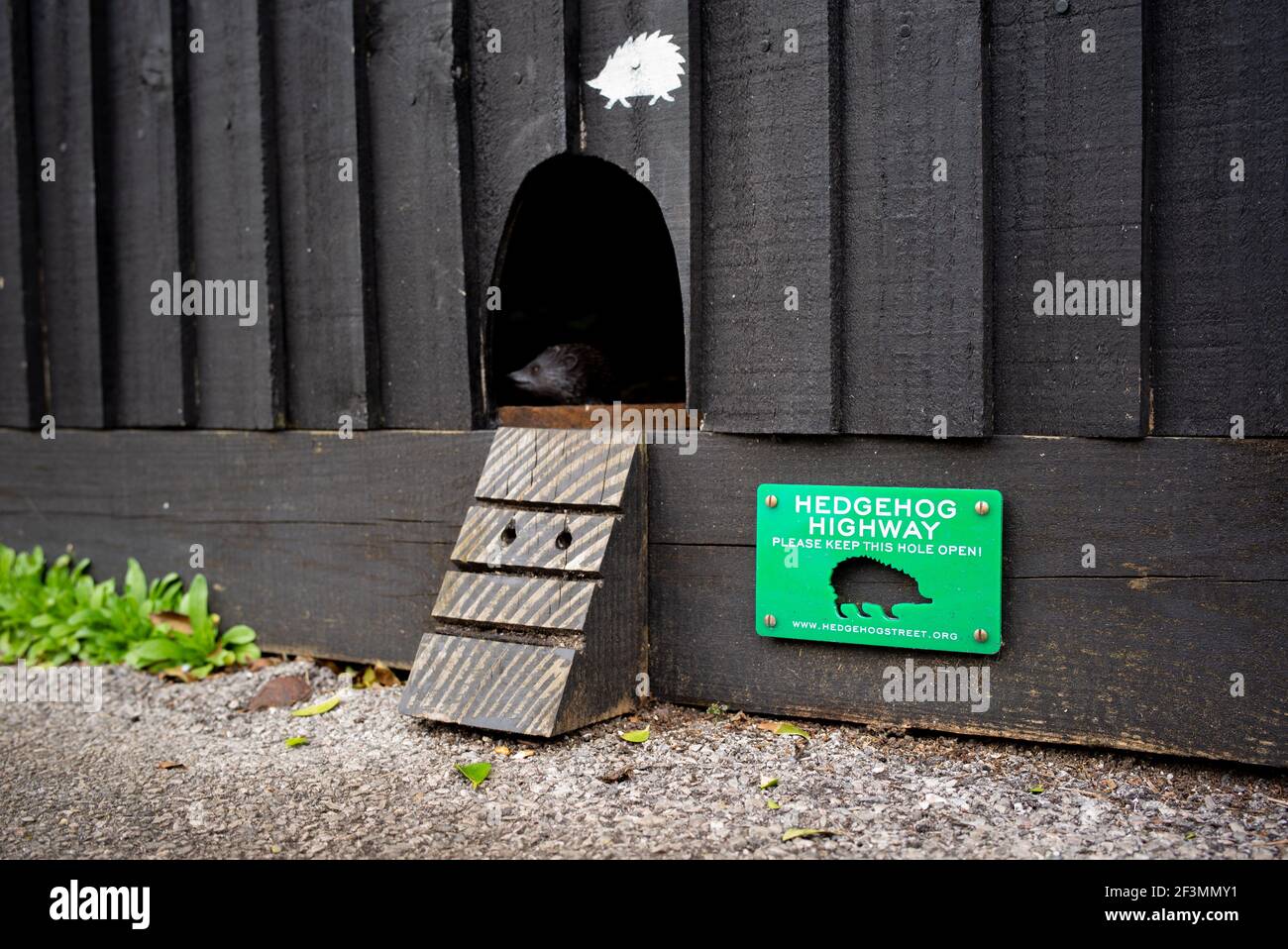 Hedgehog hole in fence hi-res stock photography and images - Alamy