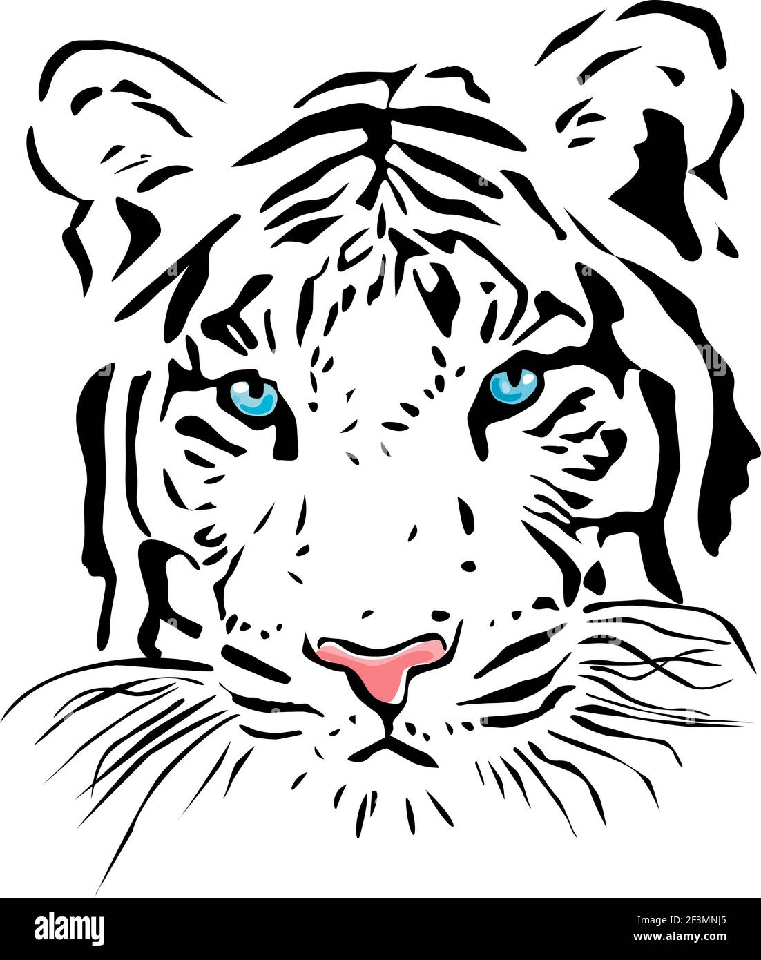 White tiger. Vector illustration Stock Vector Image & Art - Alamy