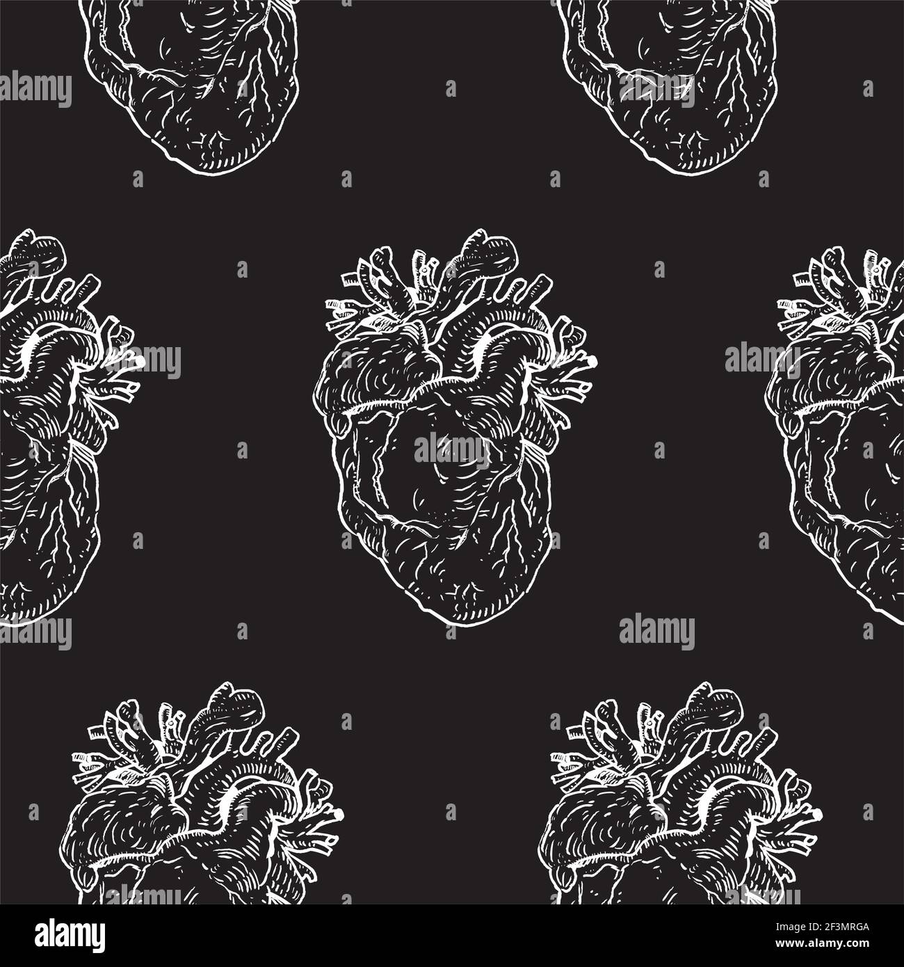 Heart anatomy body seamless Stock Vector Images - Alamy