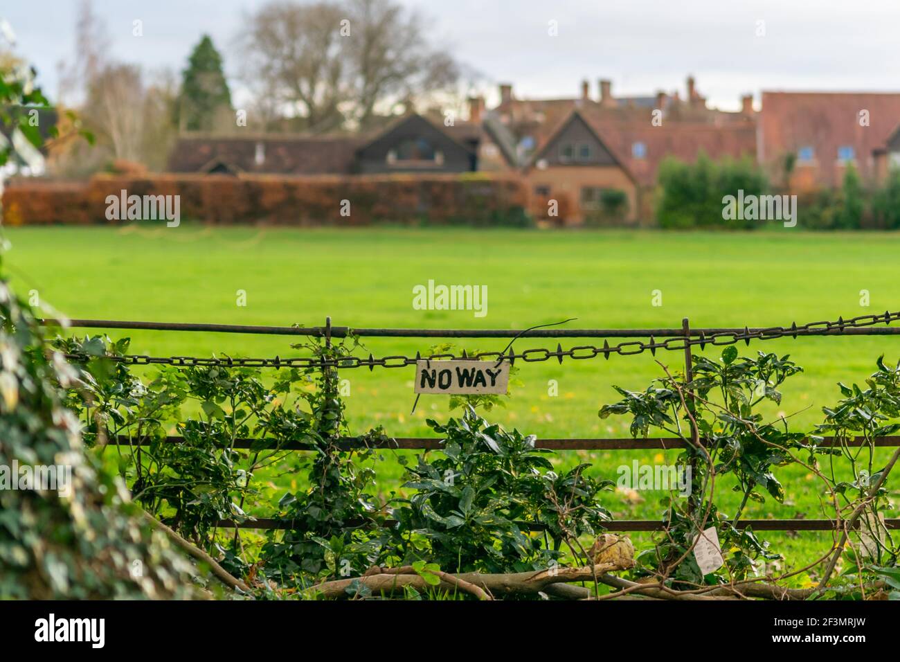 No way sign hanged on a metal fence with beautiful big green park and ...