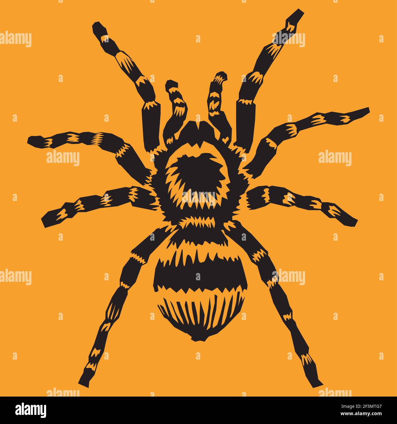 Tarantula spider, vector illustration Stock Vector Image & Art - Alamy