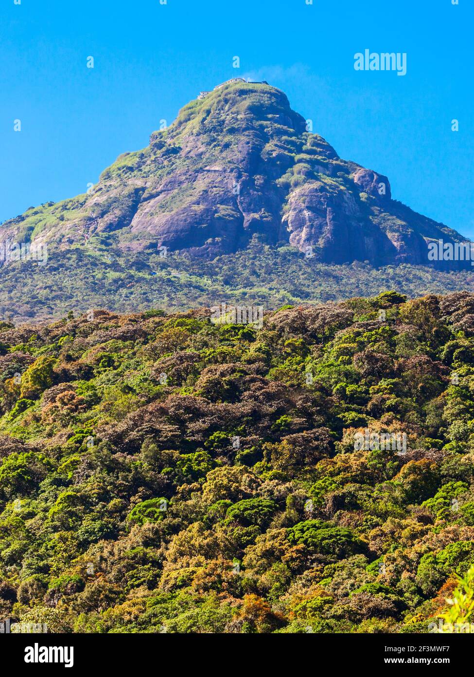 Adam's peak footprint hi-res stock photography and images - Alamy
