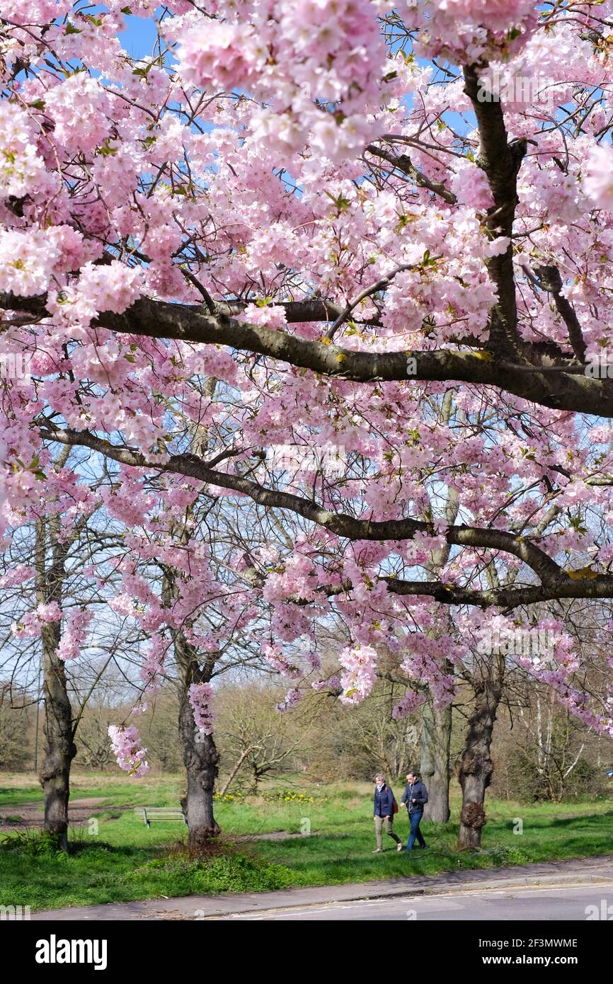 People on Wimbledon Common on a warm Spring day in London on Tuesday ...