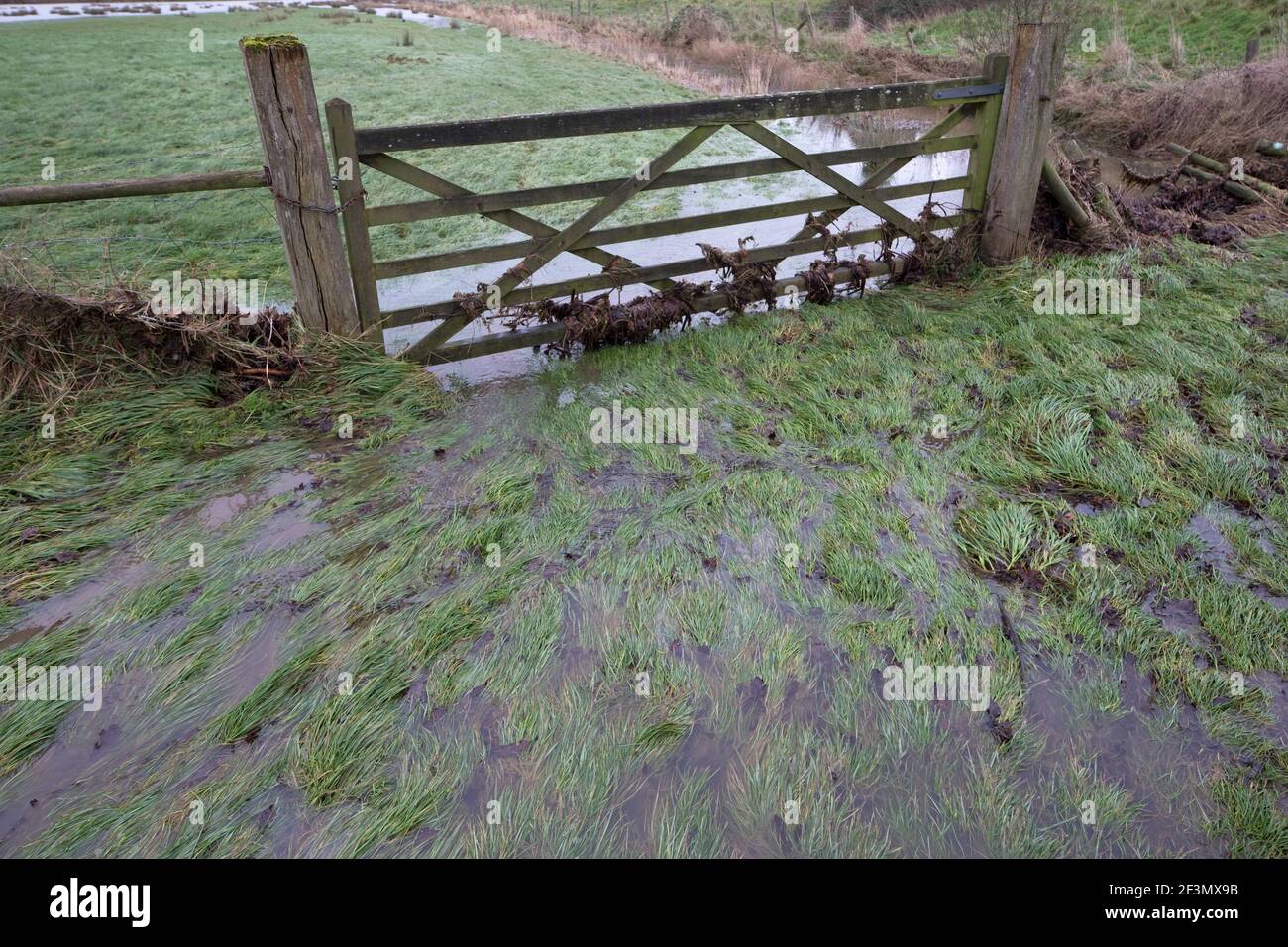 Flooded gates hi-res stock photography and images - Alamy