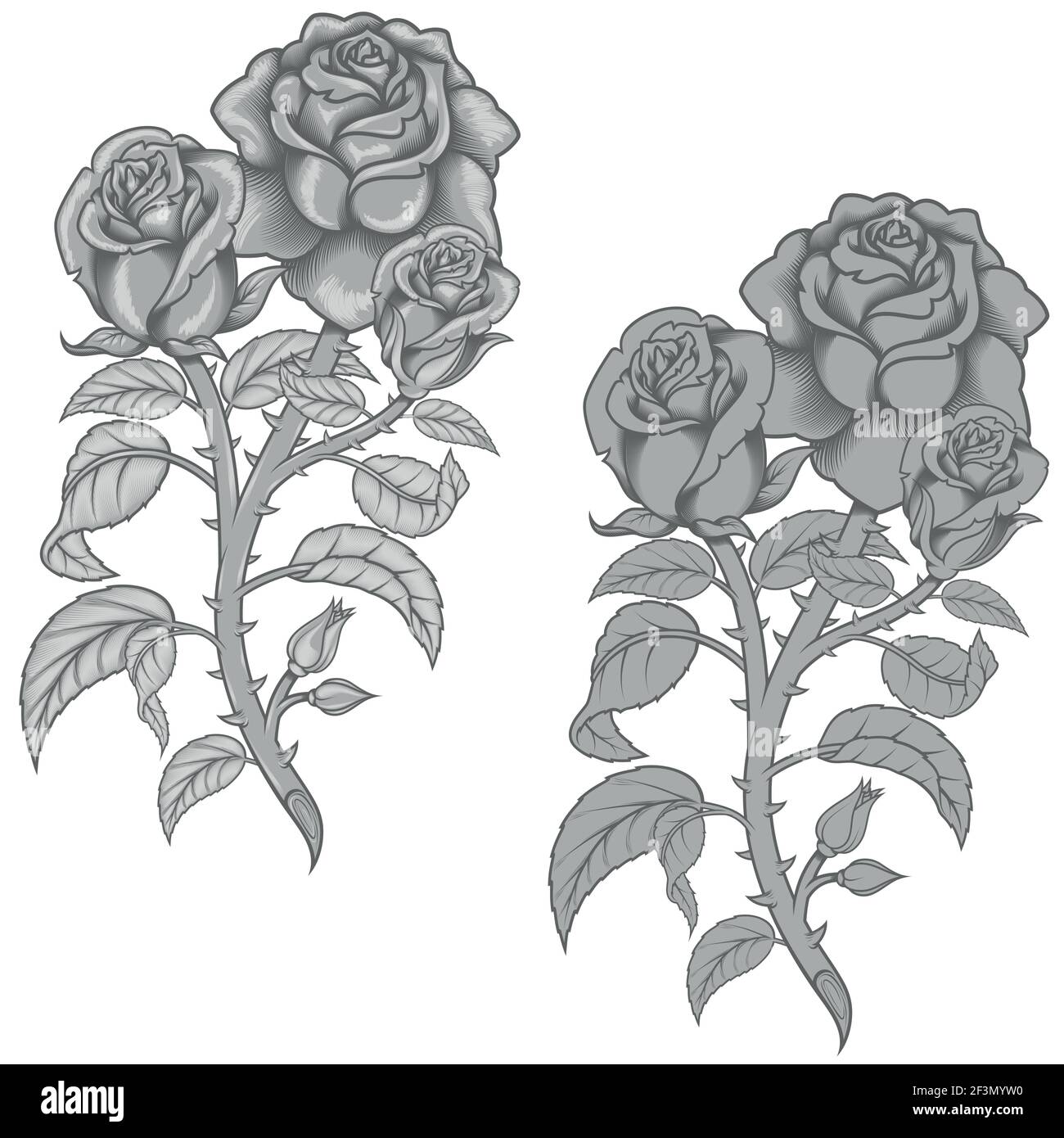 Vector design of a bouquet of flowers, in grayscale color, all on white ...
