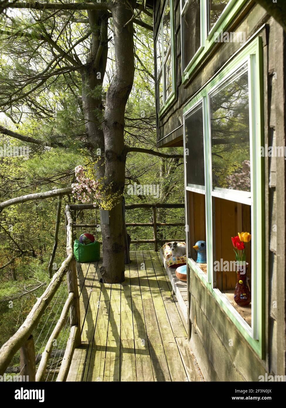 Veranda of tree house Stock Photo - Alamy