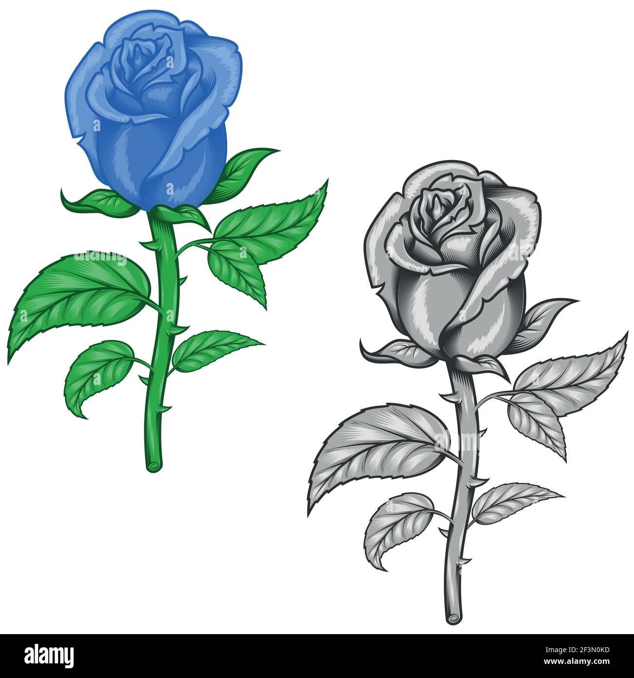 Vector design of blue and grayscale flowers, all on white background ...