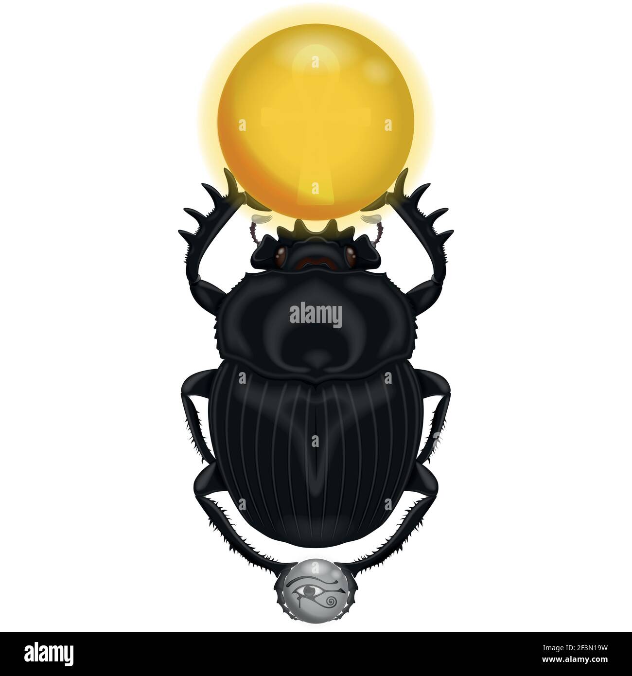Scarab Beetle Symbolism