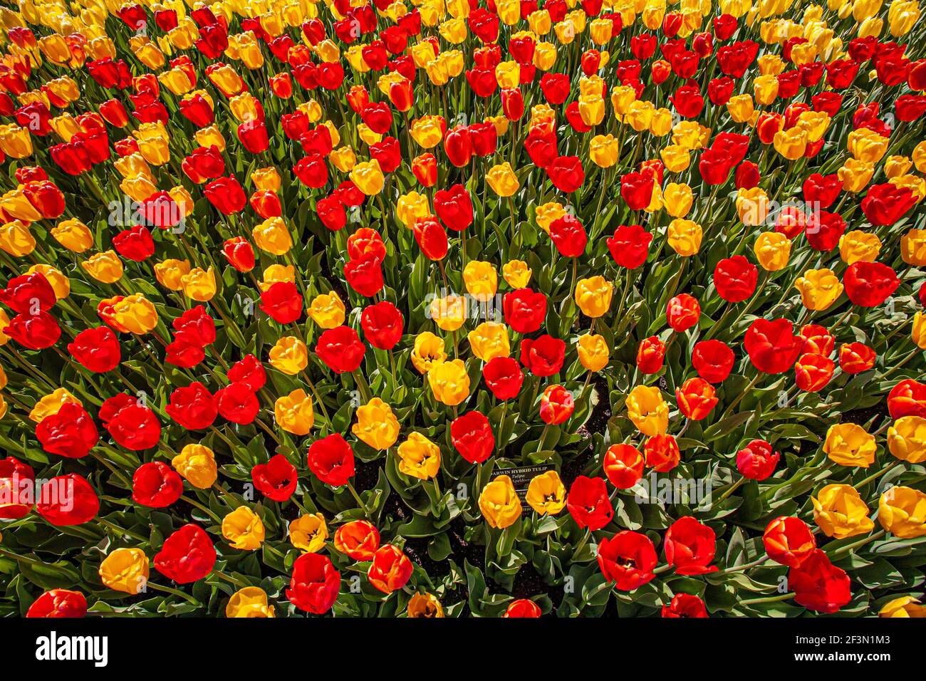Grouping color hi-res stock photography and images - Alamy