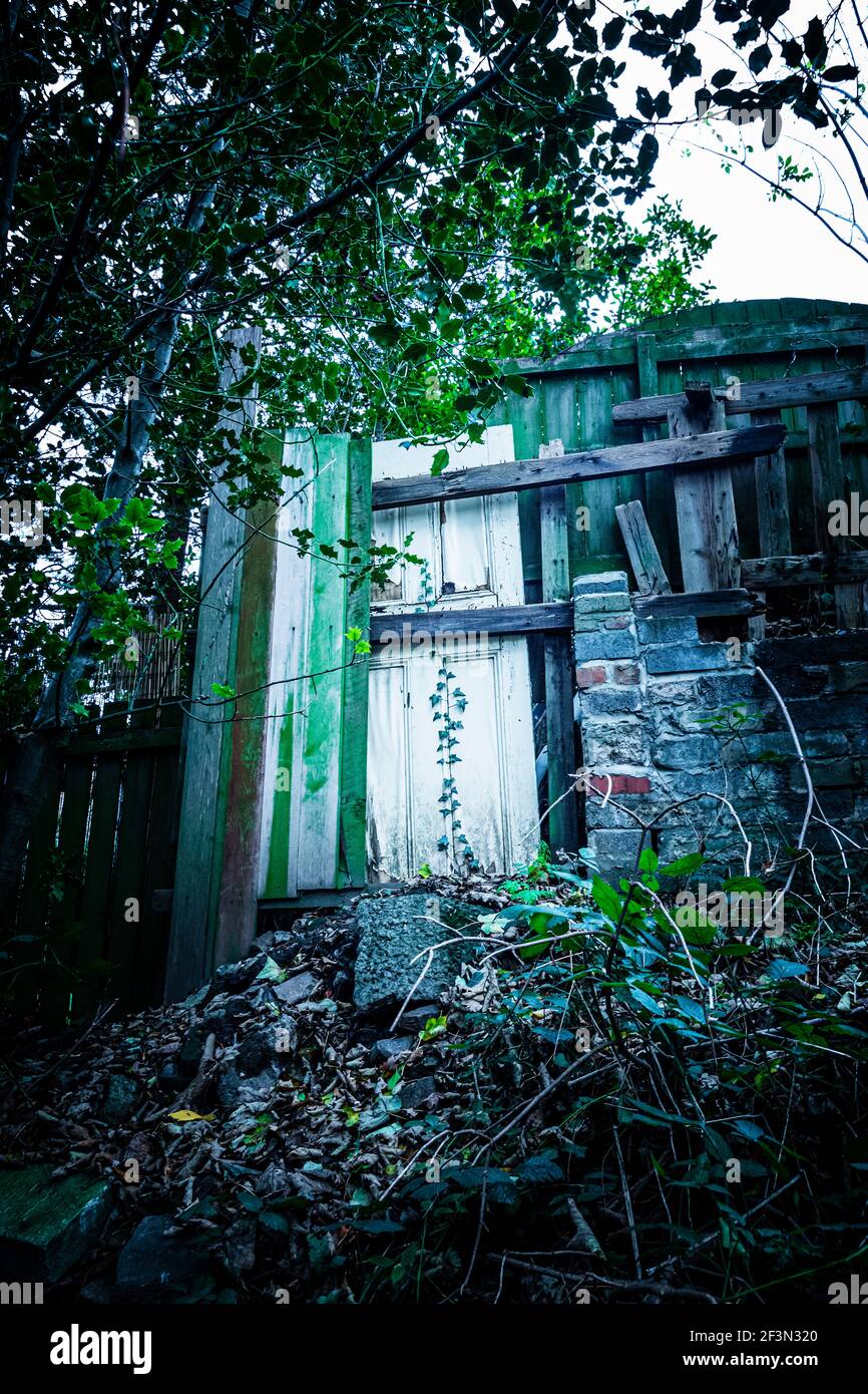 A run down rear gate to a property, overgrown by weeds and trees Stock ...