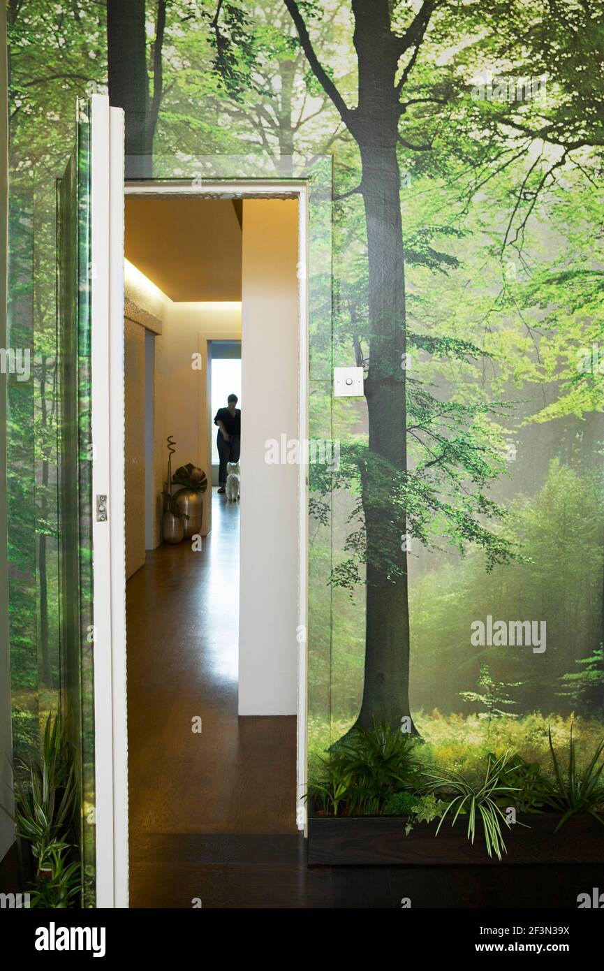 Open door in wall covered with photograph of forest scene Stock Photo ...