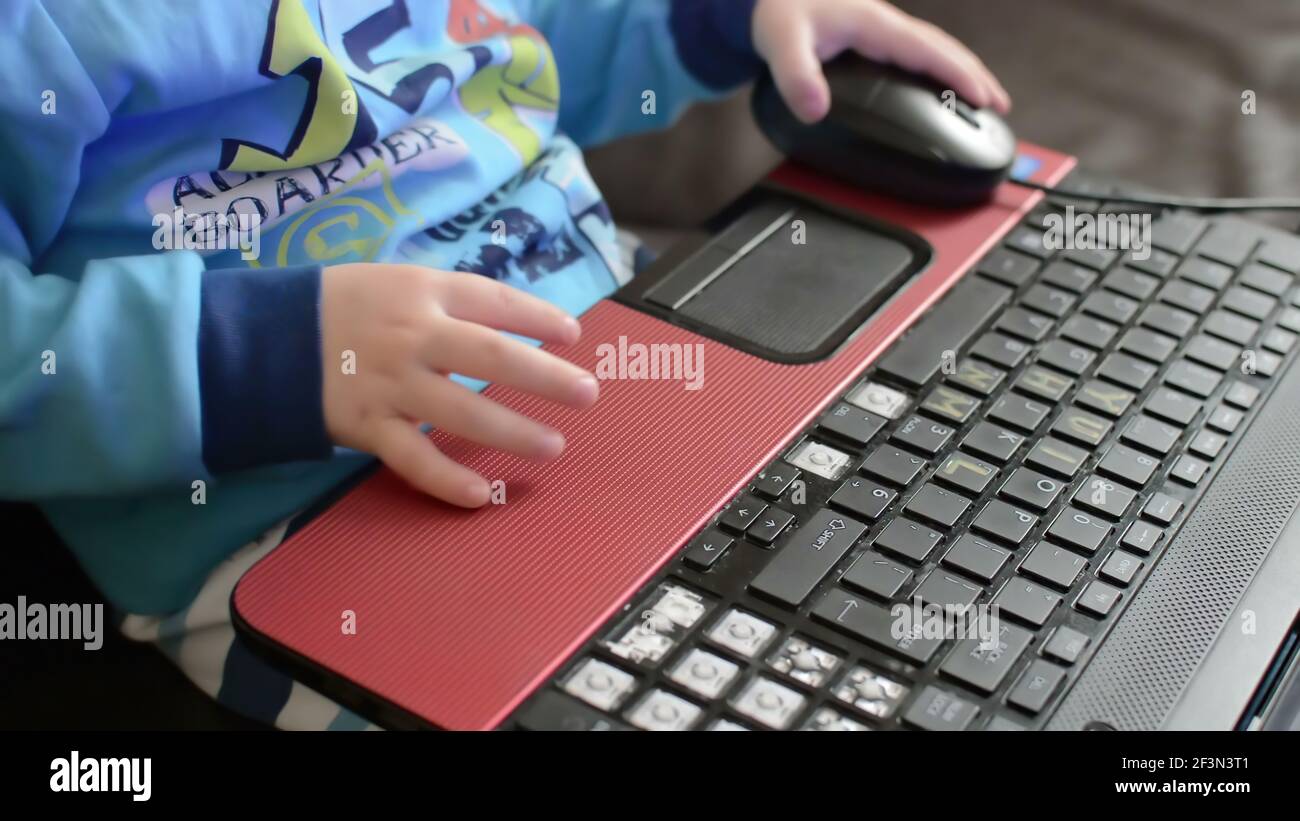 3D illustration - little boy on a laptop Stock Photo - Alamy