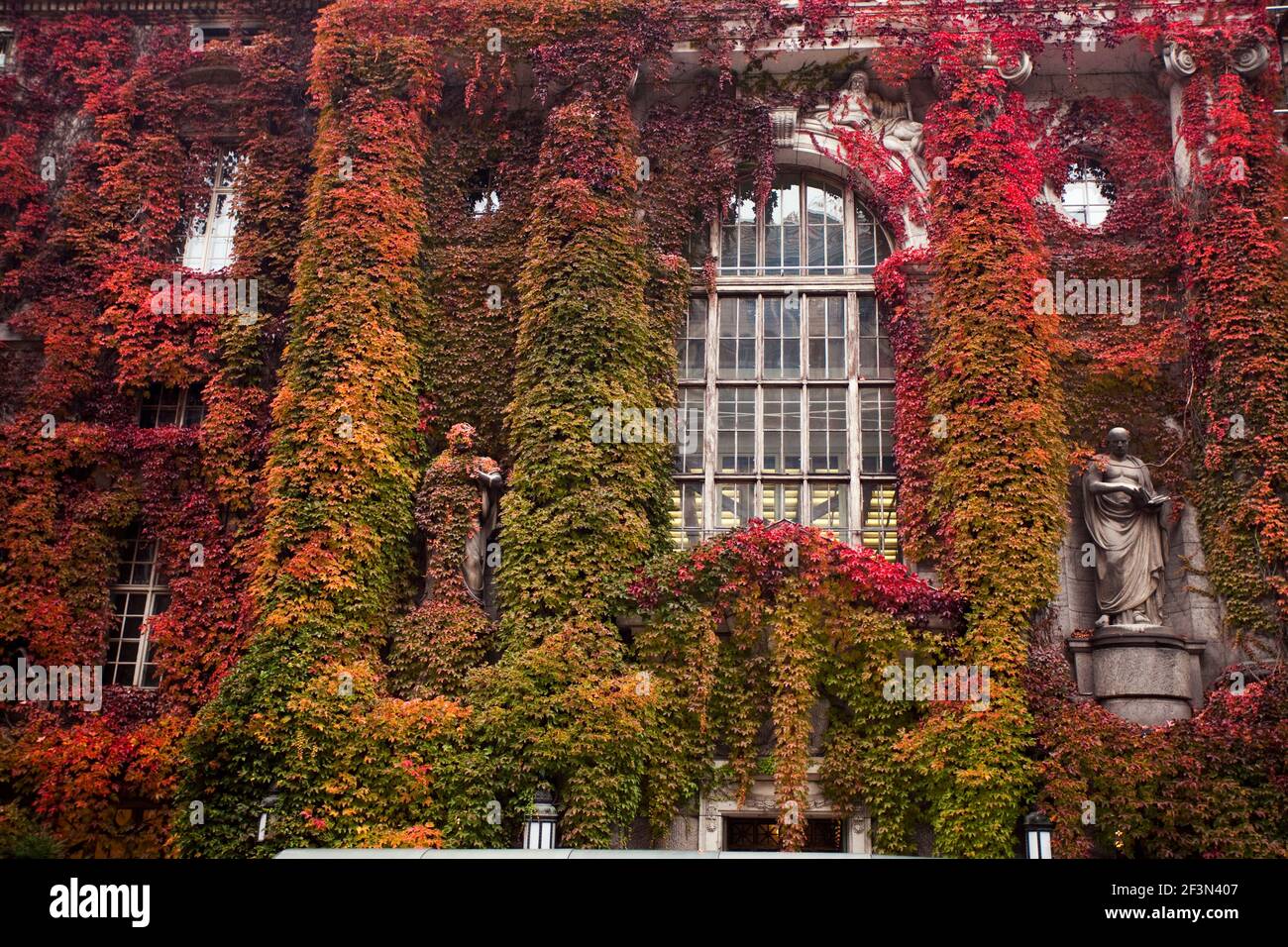 Germany,Berlin,ivey covered building turning color in autumn Stock ...