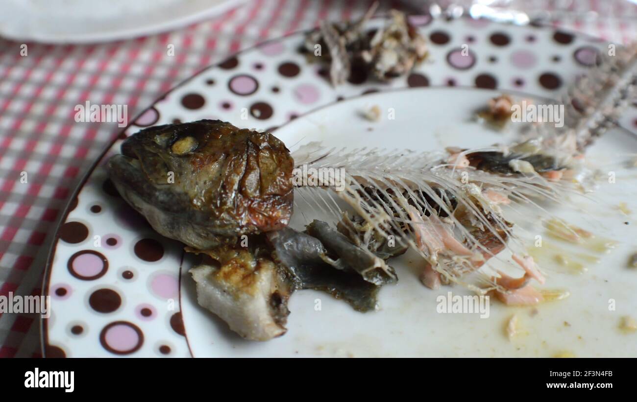 3D illustration - scraps of fish on a plate Stock Photo - Alamy