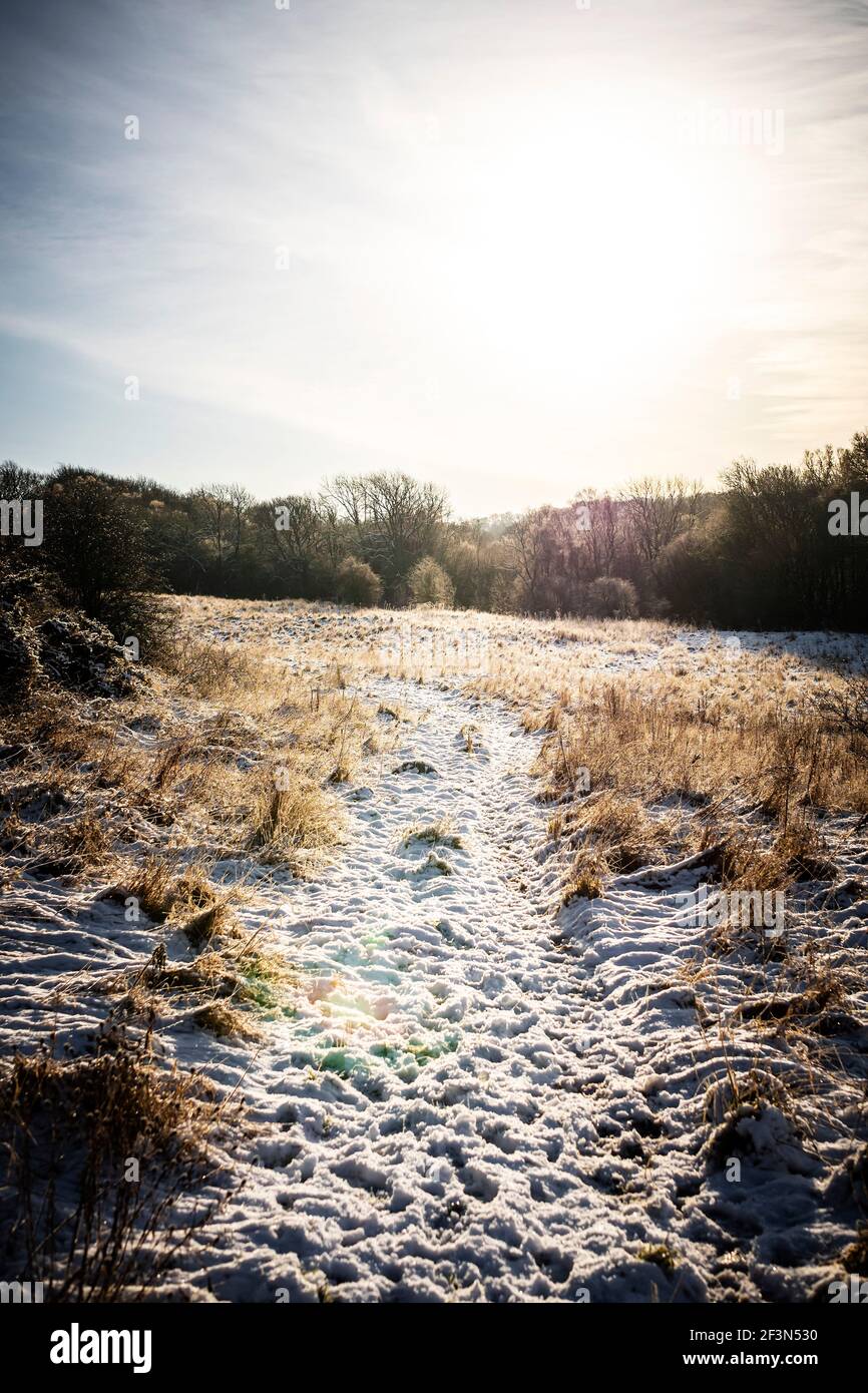 Track across field hi-res stock photography and images - Alamy
