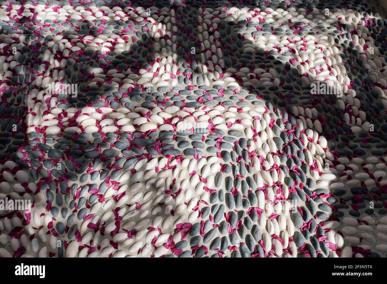 Grade I listed - Sir John Nash regency family home overlooking Regents ...