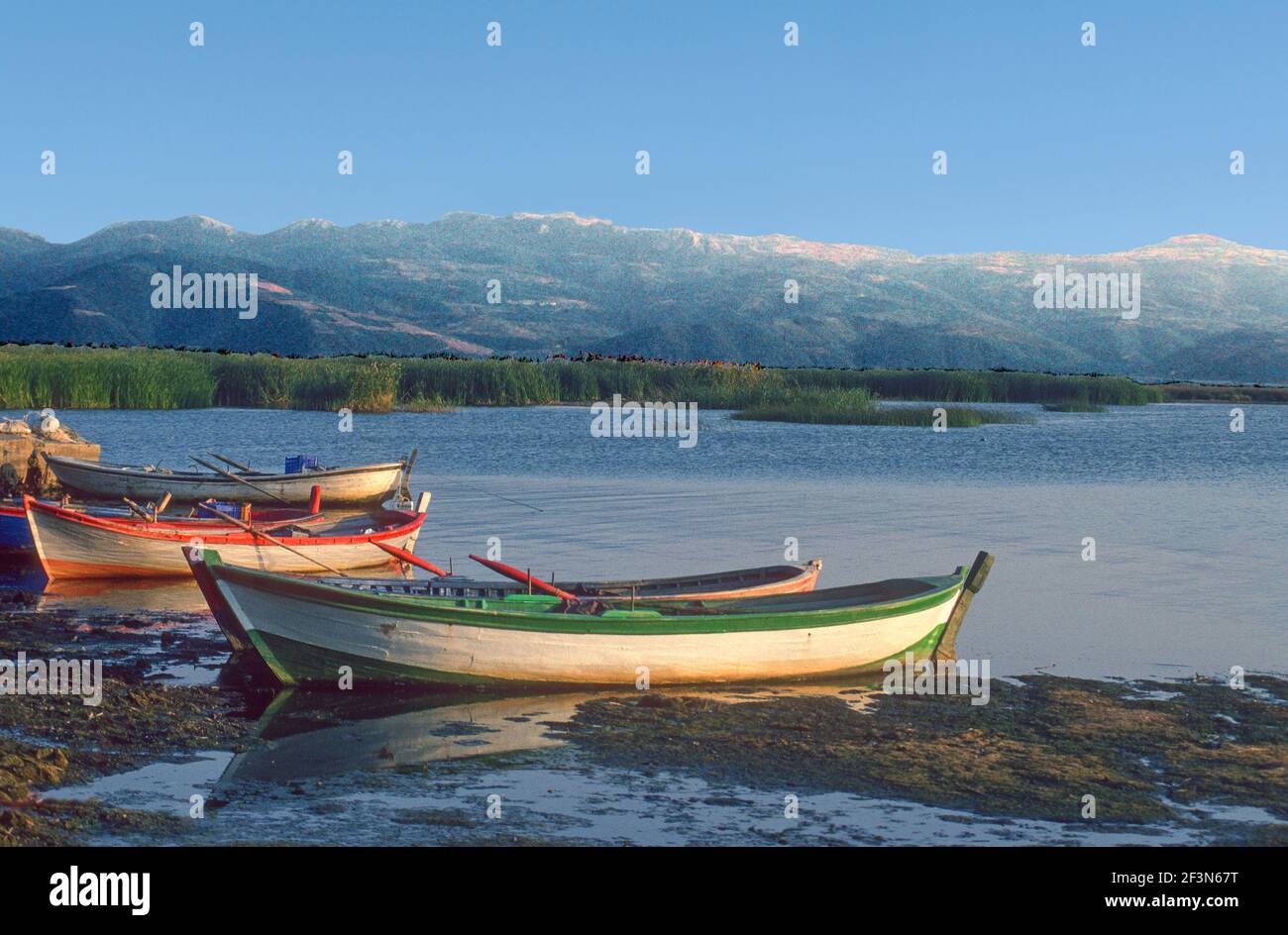 Rowing boats Lake Iznik Turkey Stock Photo - Alamy