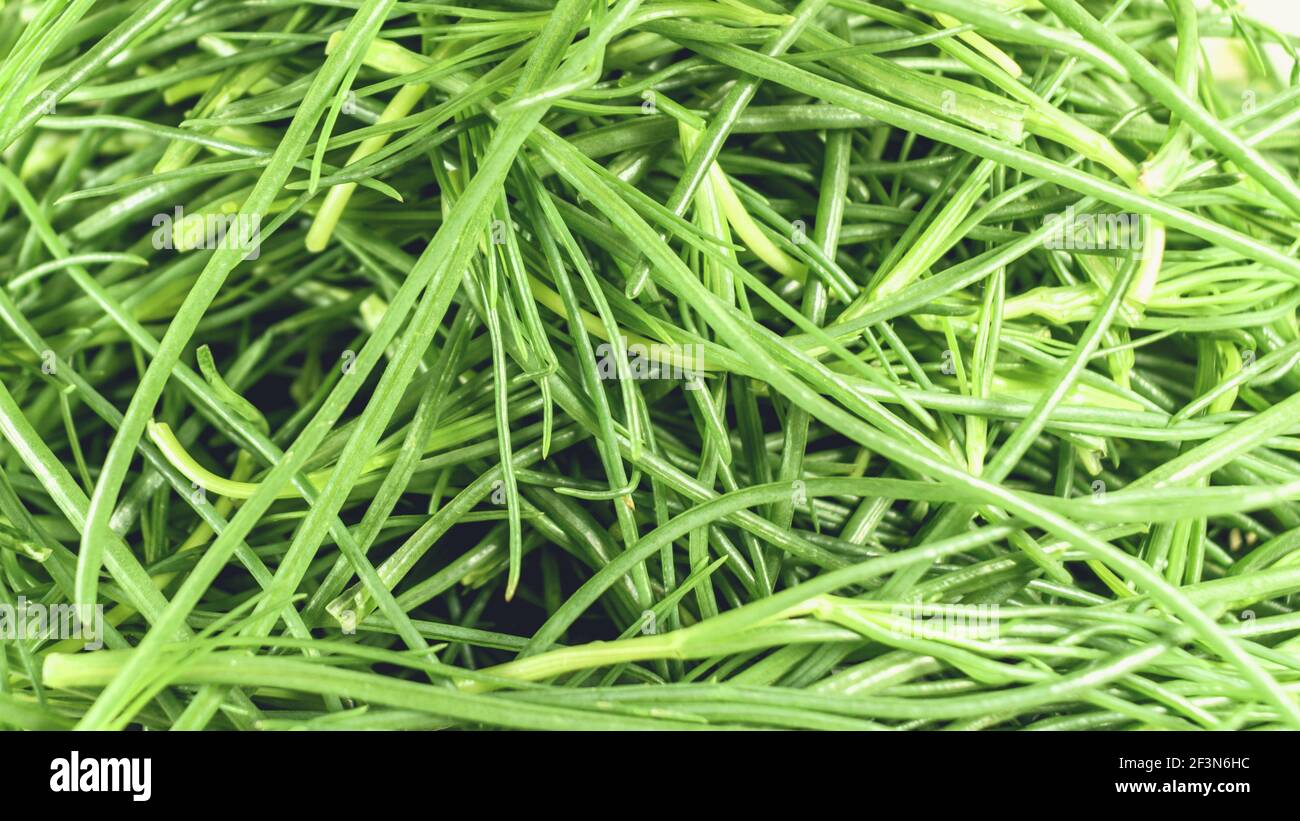 Friar Beard High Resolution Stock Photography and Images - Alamy