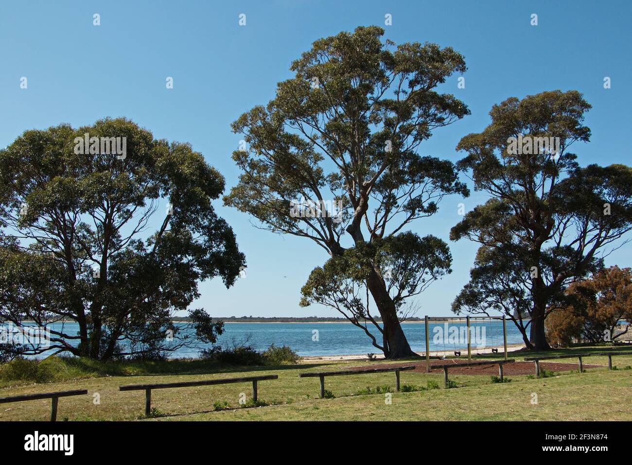 Trees on the beach in Tuross Head in Australia Stock Photo - Alamy