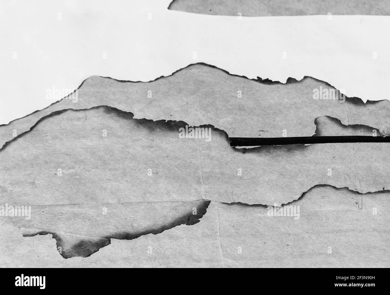 Landscape desert abstract illustration. Outdoor adventure graphic ...