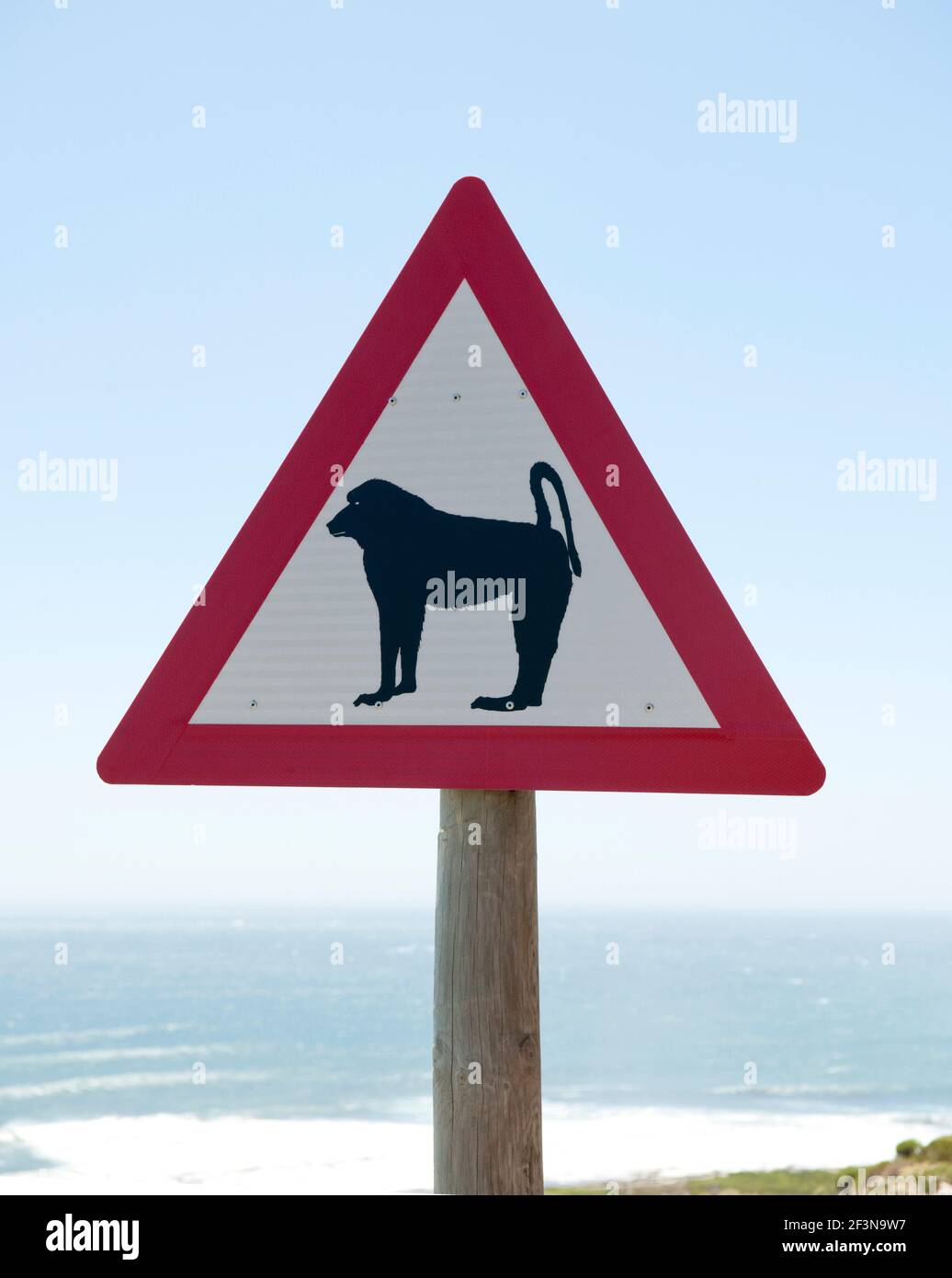 Baboons Warning Sign High Resolution Stock Photography and Images - Alamy
