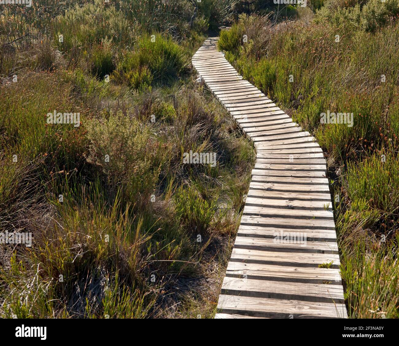 Managed ecosystem hi-res stock photography and images - Alamy