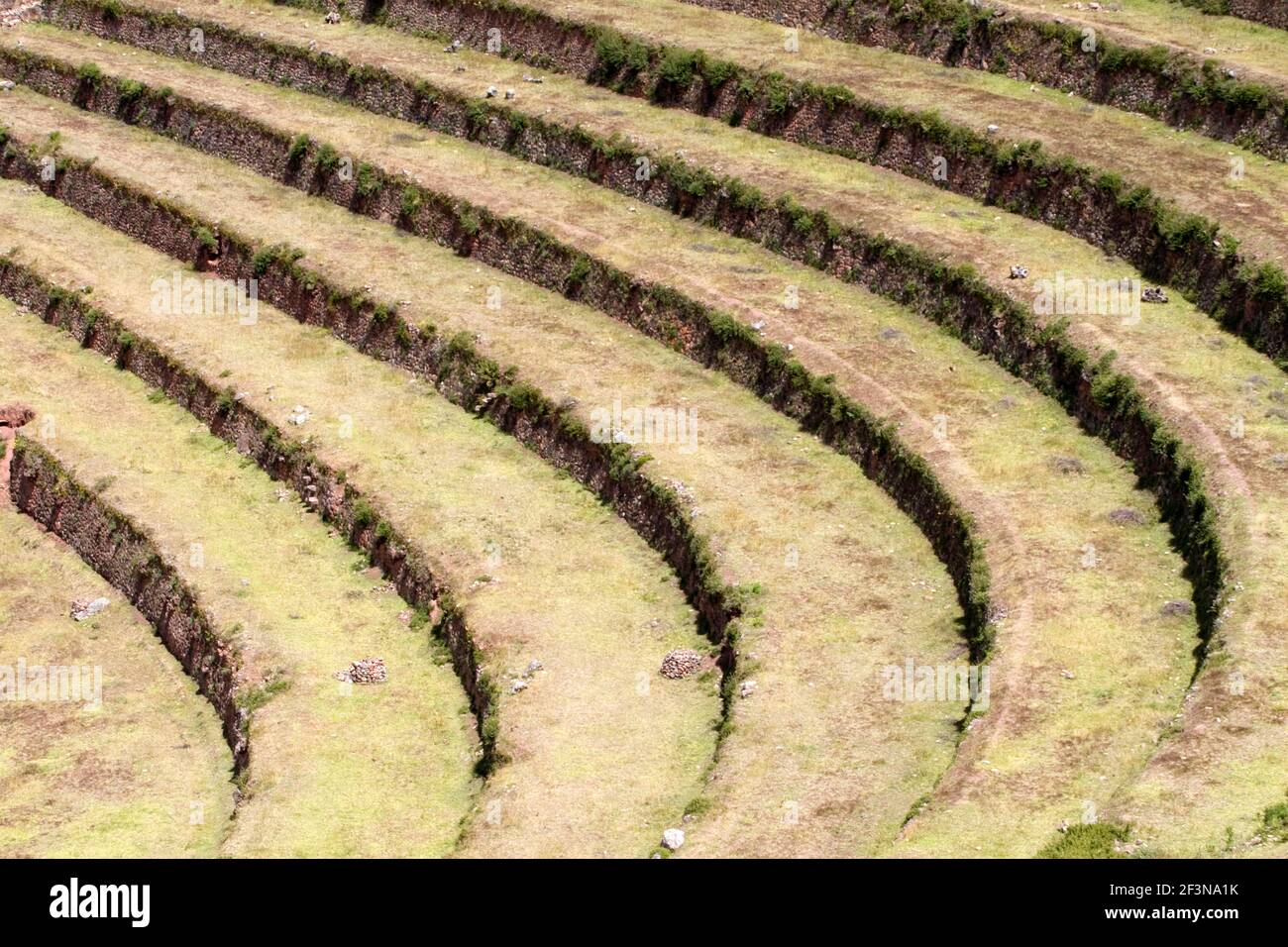 The Inca constructed agricultural terraces on the steep hillside, which ...