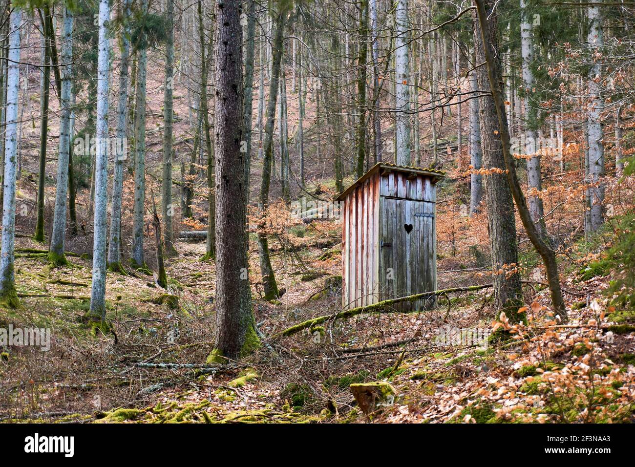 Old toilet cottage , plump toilet , wood cottage Stock Photo - Alamy
