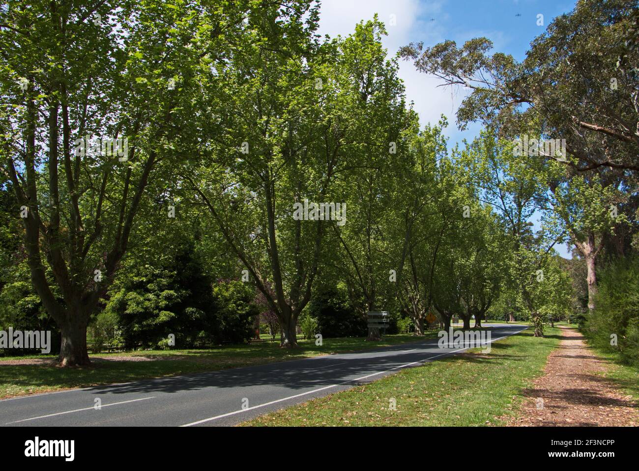 Orbost australia hi-res stock photography and images - Alamy