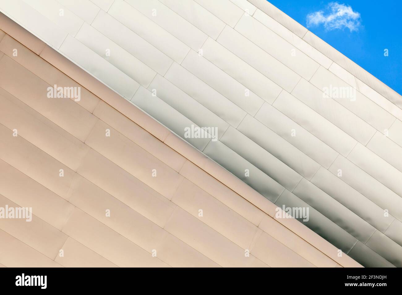 Facade detail of the titanium panels of The Frederic C. Hamilton ...