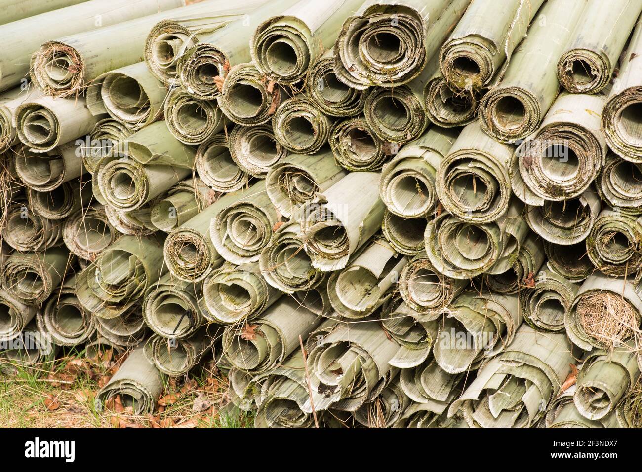 Plastic tree protectors hi-res stock photography and images - Alamy