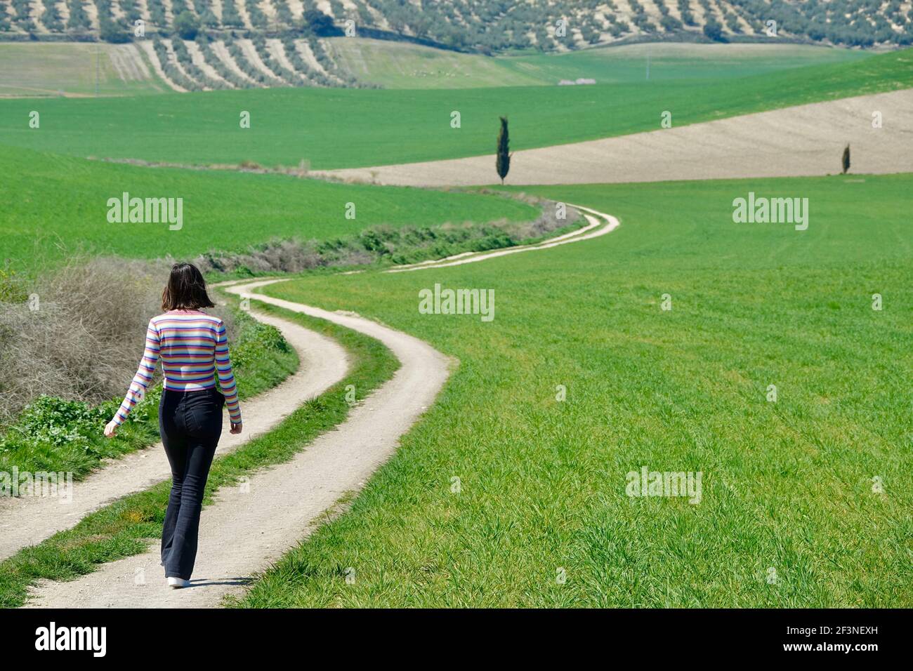 Young short hair brunette woman seen from behind walking on a path in ...