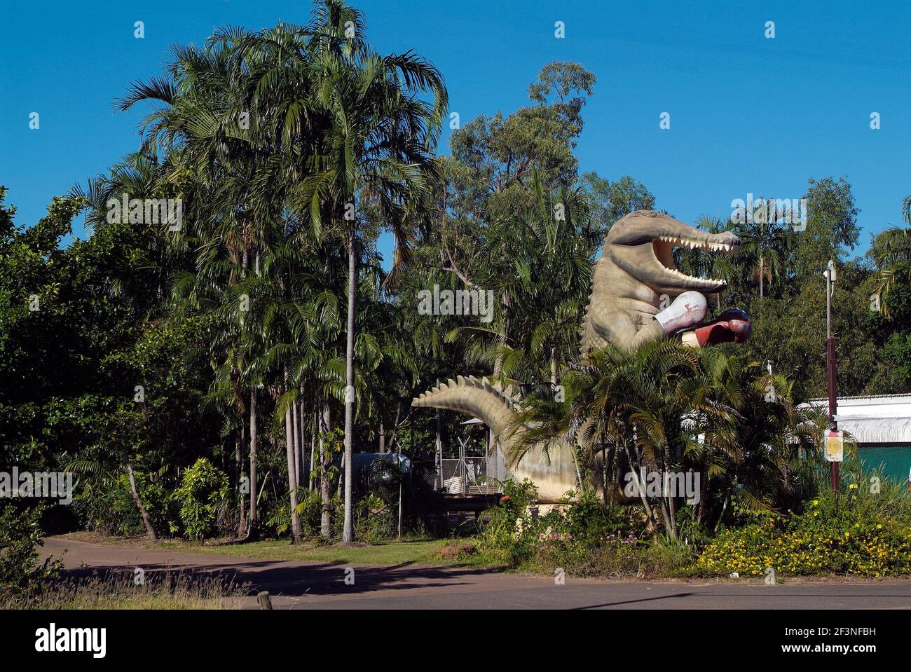 Humpty doo boxing crocodile hi-res stock photography and images - Alamy