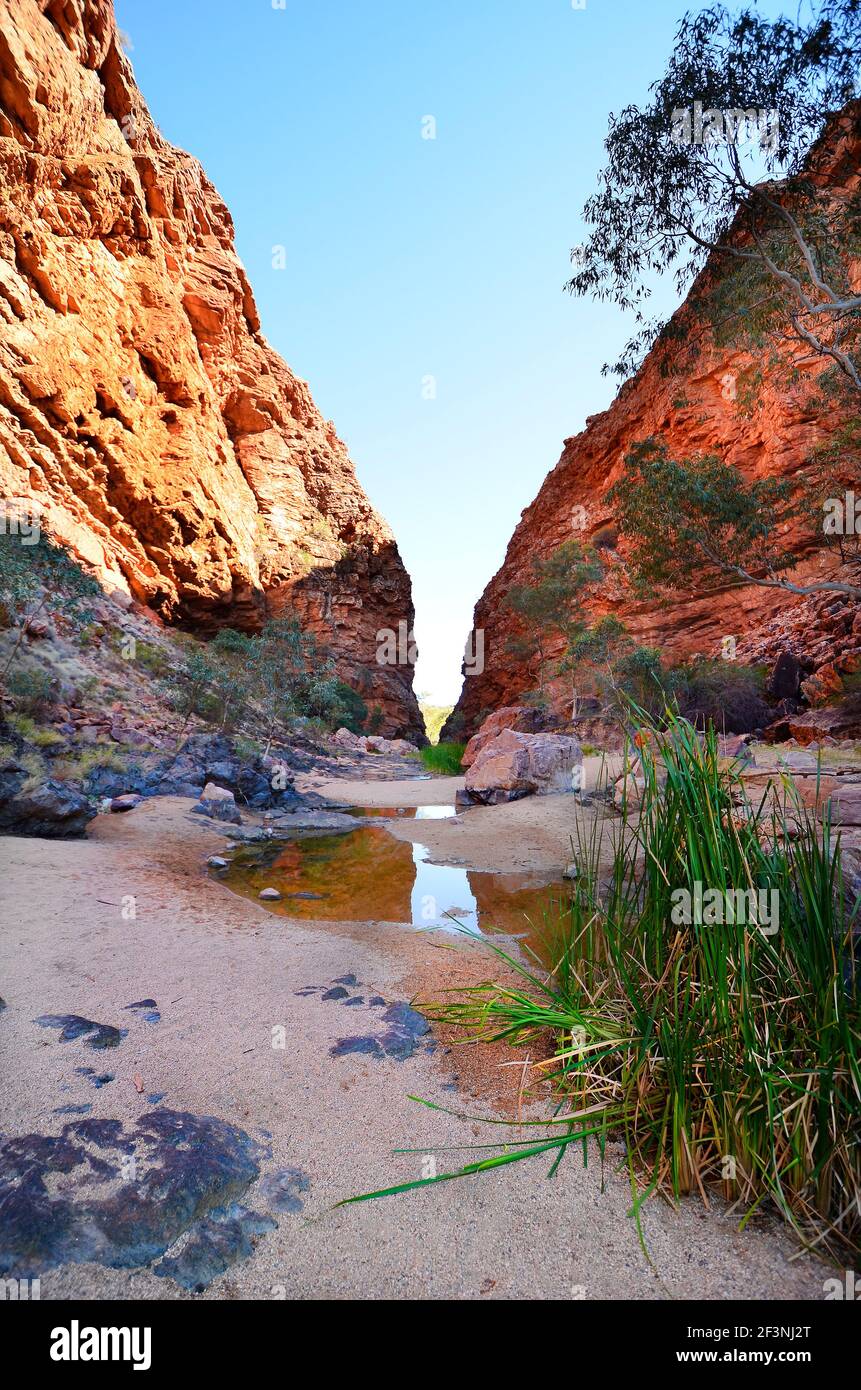 Simpsons gap hi-res stock photography and images - Alamy