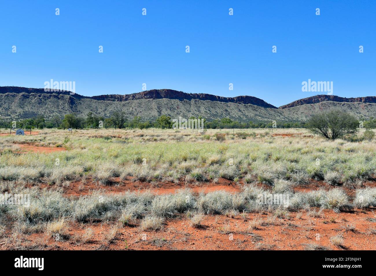 Nt grass hi-res stock photography and images - Alamy