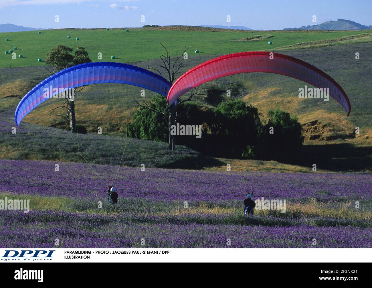 Paul stefani hi-res stock photography and images - Alamy