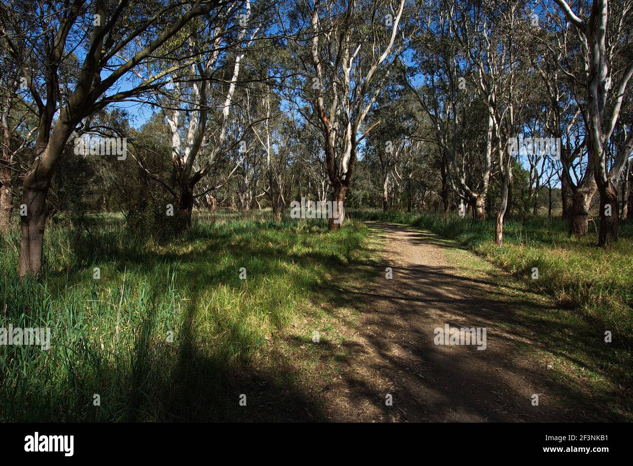 Sale Common – River Heritage & Wetlands Trail in Victoria in Australia ...