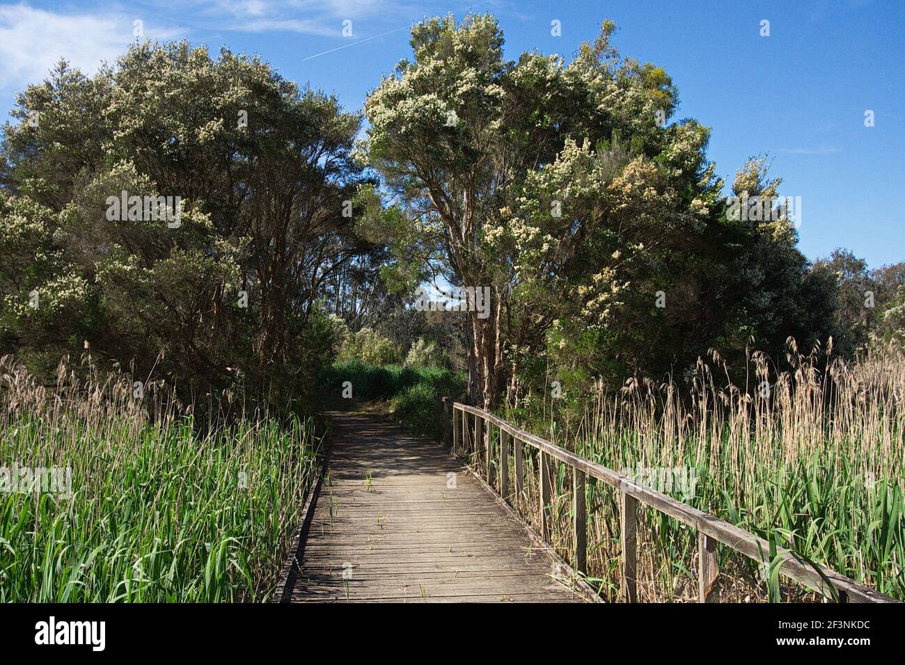 Sale Common – River Heritage & Wetlands Trail in Victoria in Australia ...