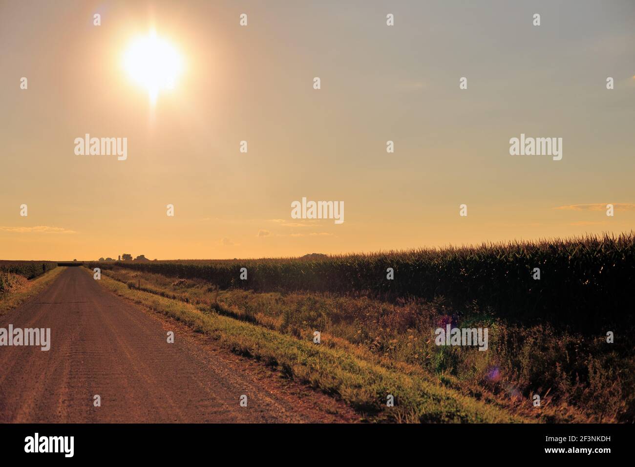 Country rural farming hi-res stock photography and images - Alamy