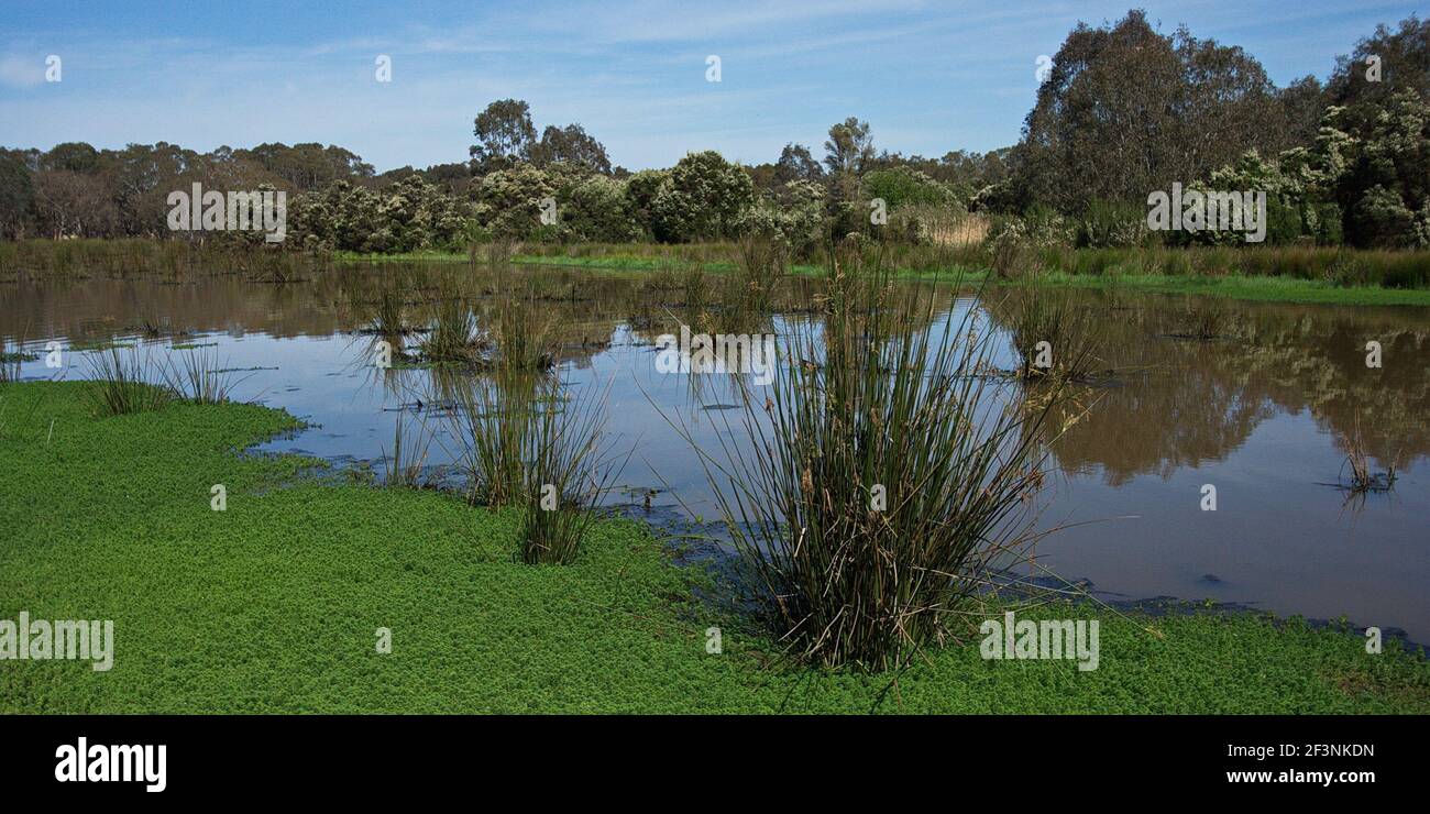 Sale Common – River Heritage & Wetlands Trail in Victoria in Australia ...