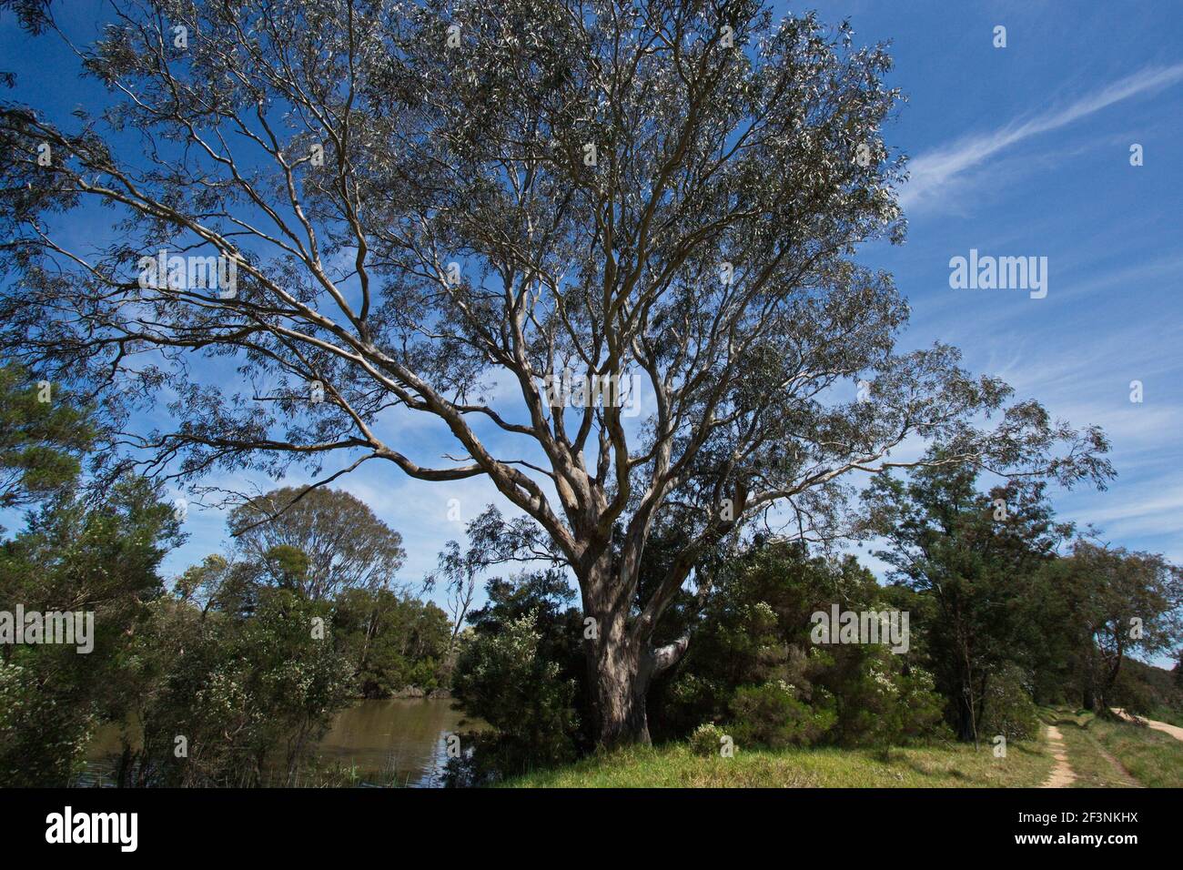 Sale Common – River Heritage & Wetlands Trail in Victoria in Australia ...
