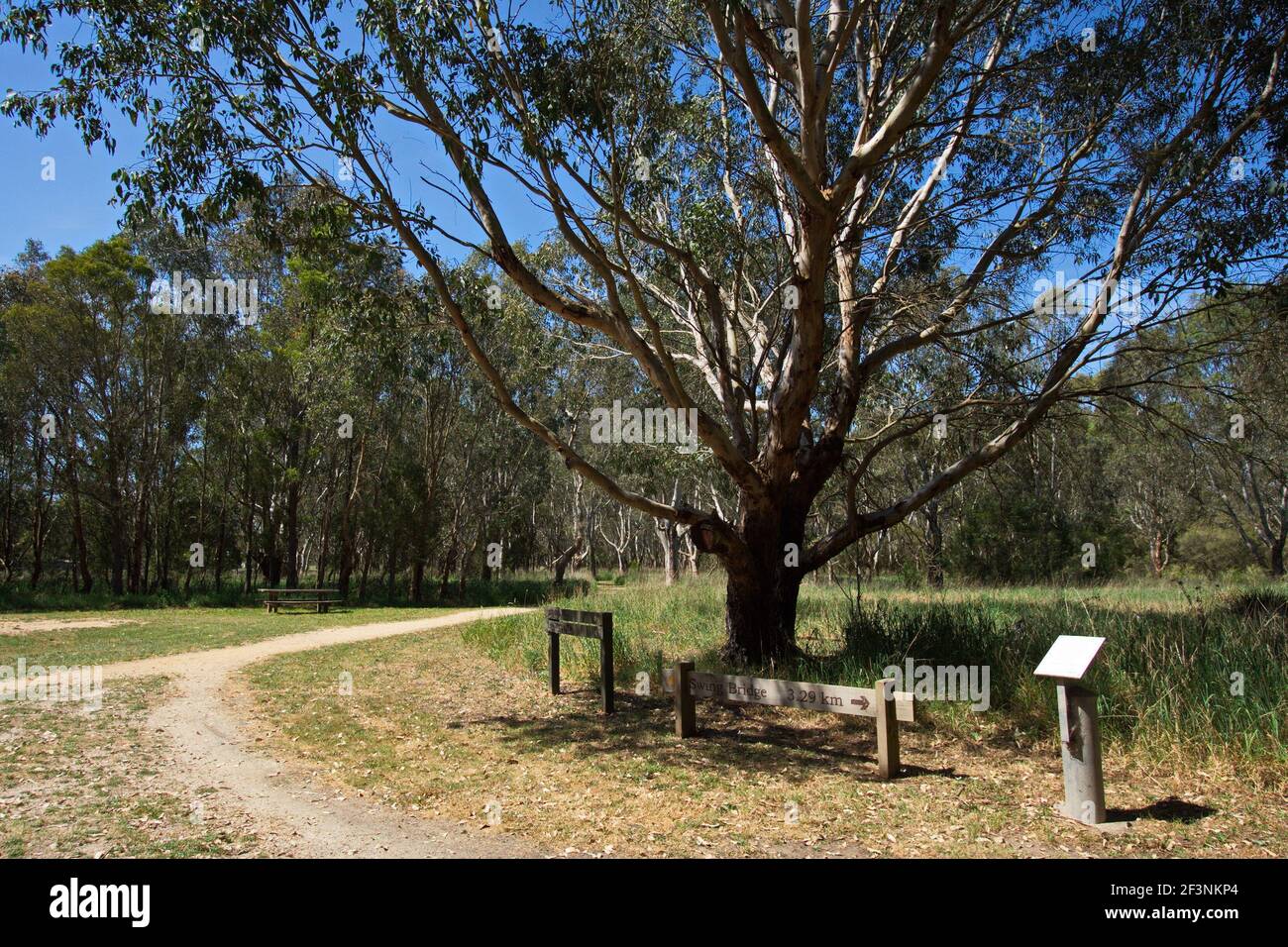 Sale Common – River Heritage & Wetlands Trail in Victoria in Australia ...