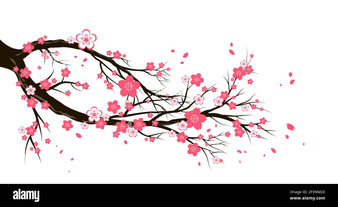 Plant bloom blossom Stock Vector Images - Alamy