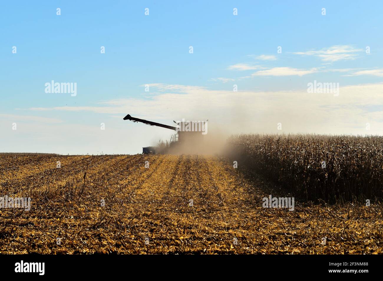 Corn crops hi-res stock photography and images - Alamy