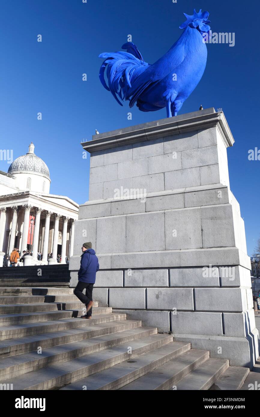 Blue Cockerel sculpture on the Fourth Plinth, Trafalgar Square, London ...