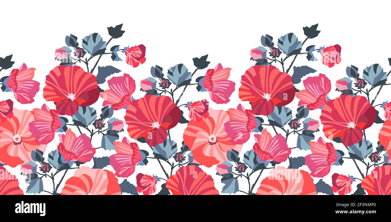 Indian mallow plant Stock Vector Images - Alamy