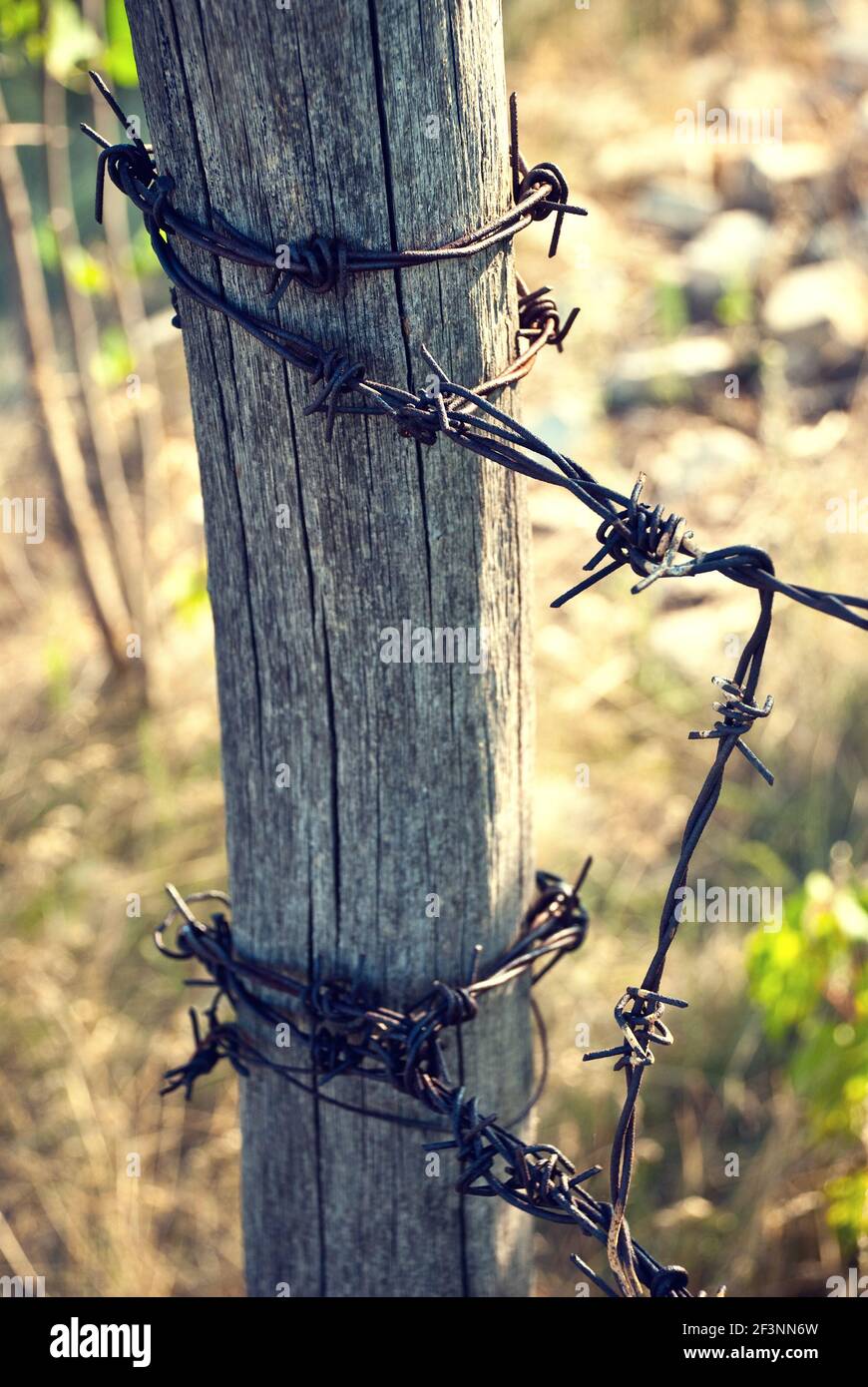single post with barbed wire Stock Photo - Alamy